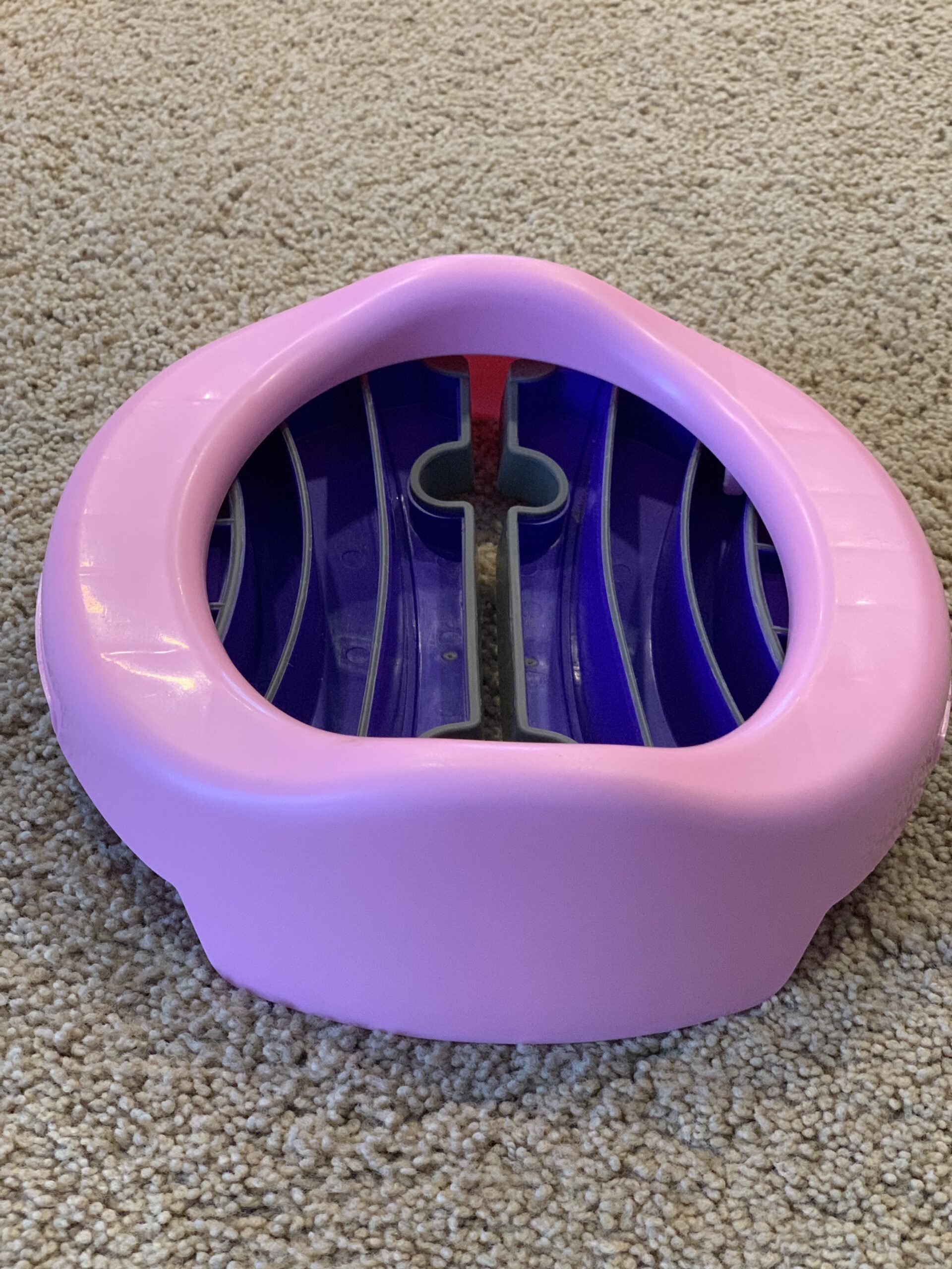 The Children's Travel Potty: A Must Have For Me