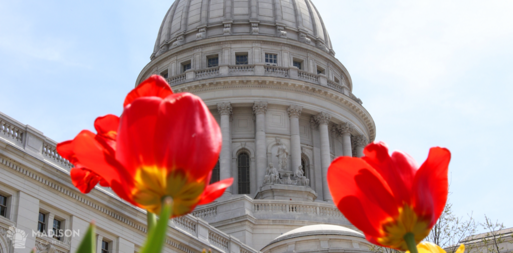 WHERE TO SEE SPRING FLOWERS IN BLOOM IN MILWAUKEE
